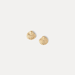 Baby Seashell Studs — GLDN